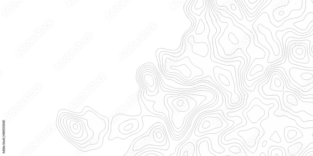 Vector white wave line geography landscape Topo contour map on white ...