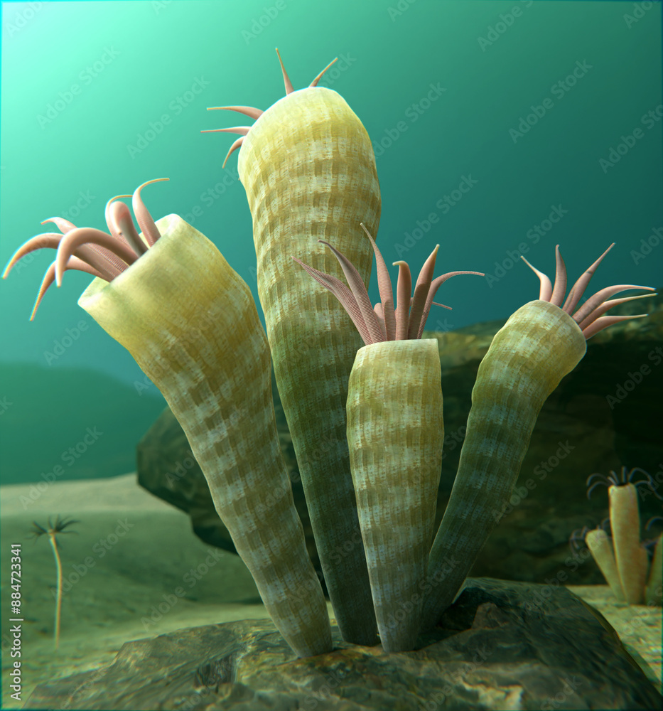 An illustration of the extinct Horn Coral Rugosa of the Silurian 418 ...