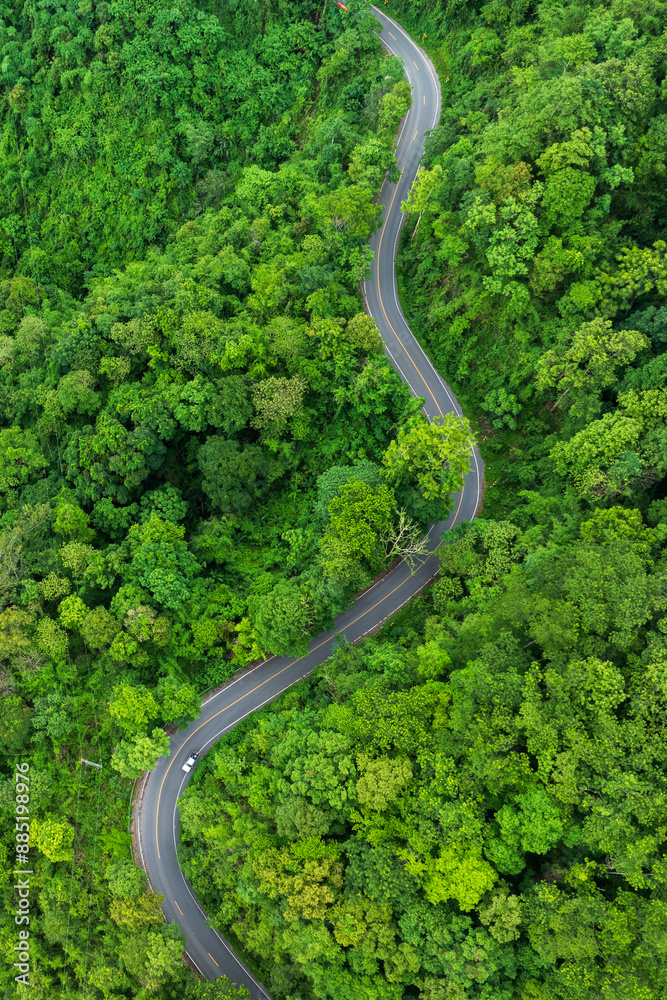 Aerial view green forest and asphalt road, Top view forest road going ...