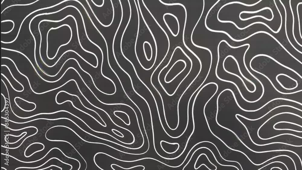 contours Geographic mountain topography vector illustration ...