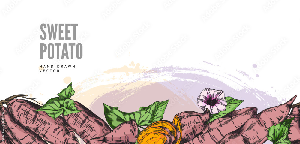 Sweet potatoes, flowers and leaves vector pattern border design. Hand ...