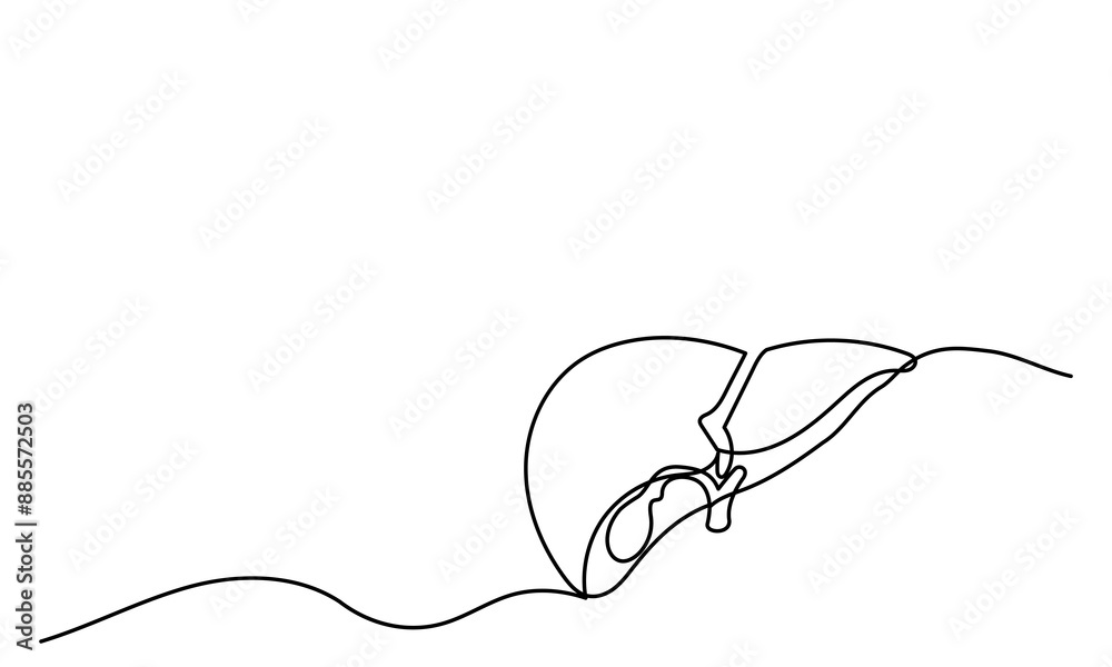 Human liver, Continuous single-line drawing of human internal organ ...