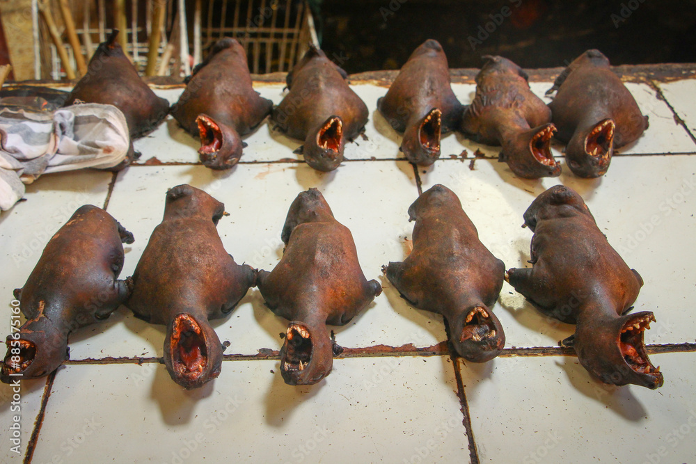 Roasted flying foxes sold for meat at the food market in southeast asia ...