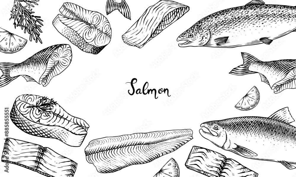 Fish sketch poster or banner. Salmon fillet, ink hand drawn vector ...