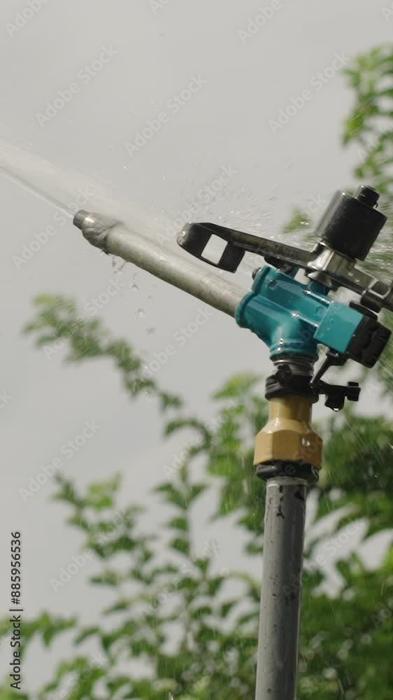 Vertical video. The Principle of Operation of a Sprinkler System ...