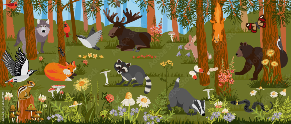 vector drawing landscape with summer forest, trees, wild animals and ...