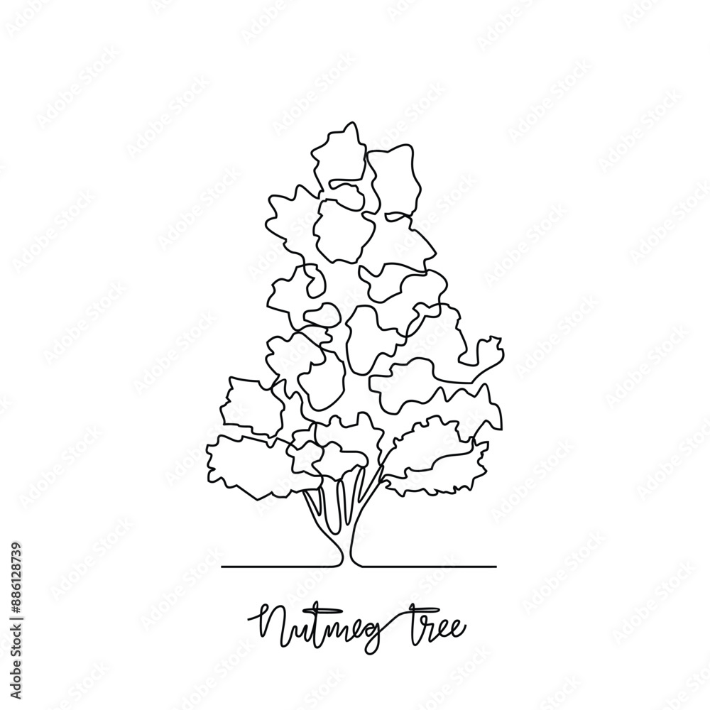 One continuous line drawing of Nutmeg tree vector illustration. Tree ...