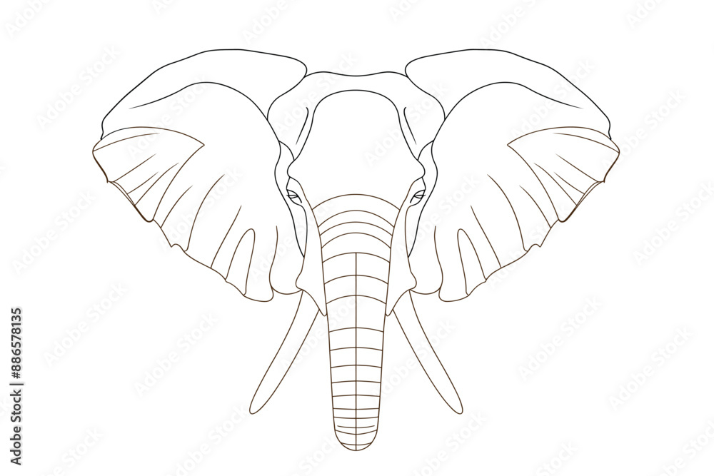 Elephant head vector illustration. Elephant, drawing, trunk, head ...