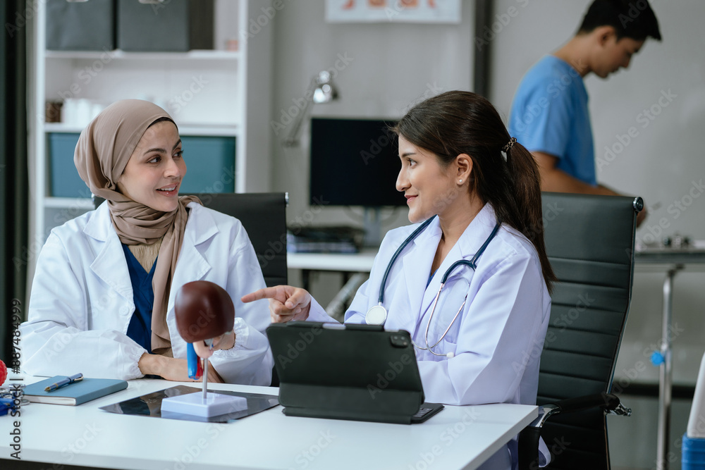 Doctor meeting shows a model of how the liver system works, doctors ...