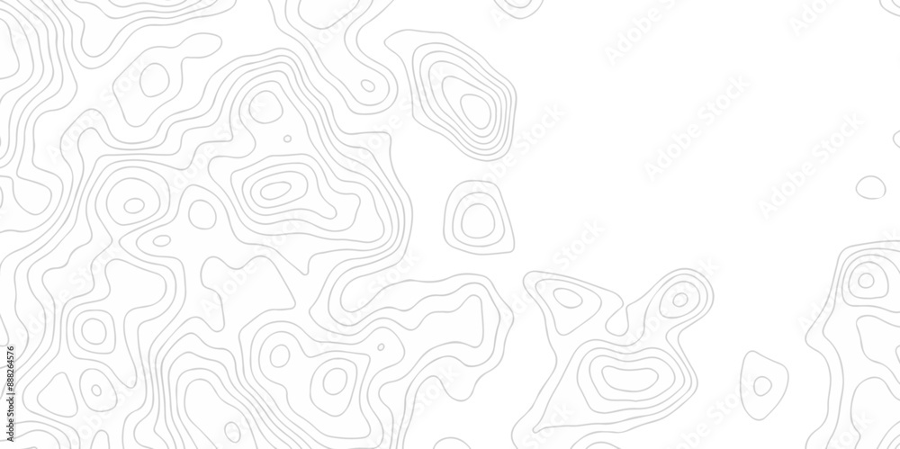Vector white wave line geography landscape Topo contour map on white ...