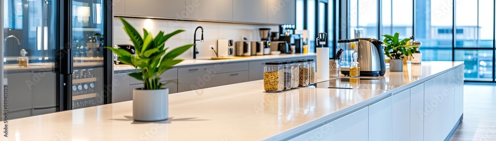 Modern office kitchen with white counters, potted plants, and sleek ...