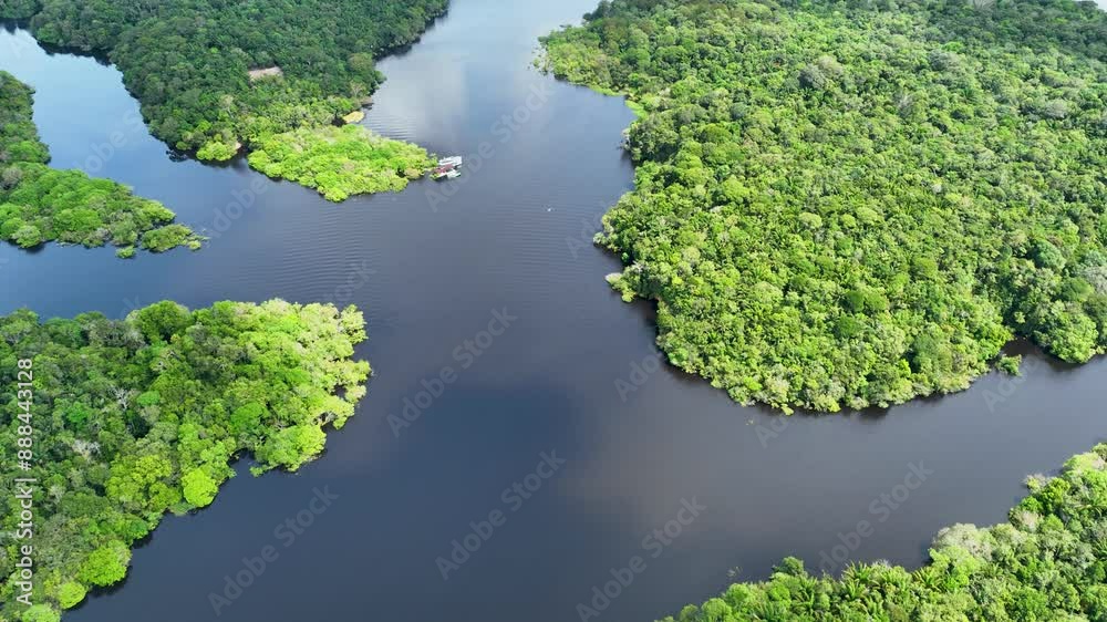 Amazon Rainforest At Manaus Amazonas Brazil. River Flowing Through Lush ...