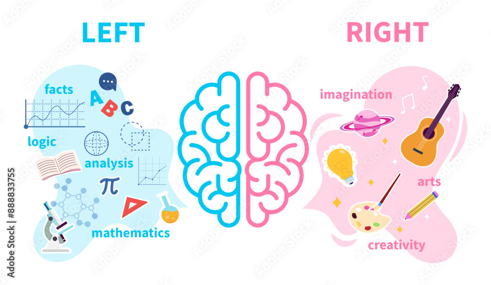 Vector illustration of the right and left hemispheres of the brain ...