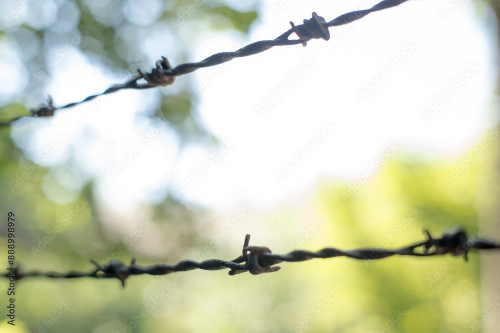 Barbed wire, a linear structural element of dams and fences. Stock ...