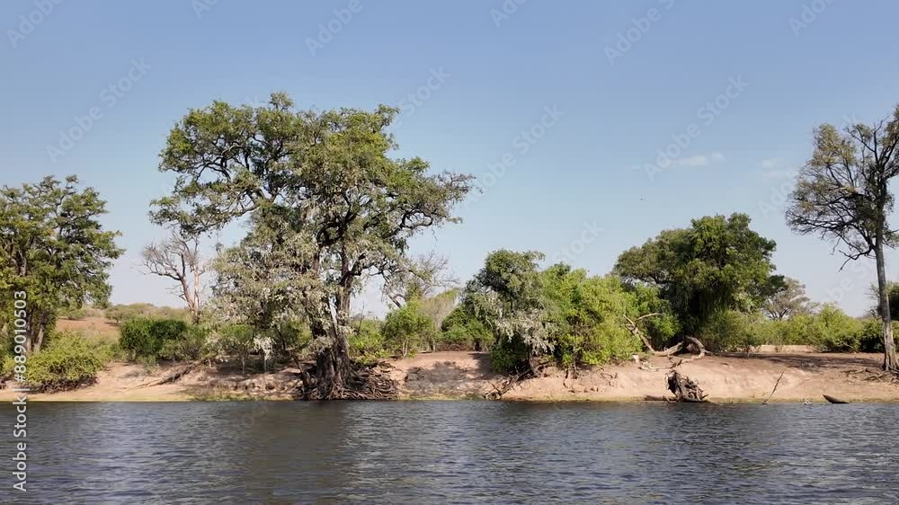 Chobe River At Chobe National Park Kasane Botswana. African Big Five ...