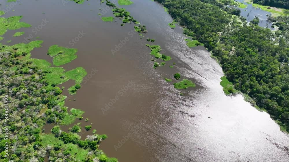 Amazonian Rainforest At Manaus Amazonas Brazil. Amazon Rainforest ...