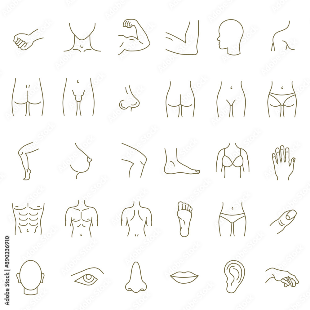 Human body parts icon set. Conventional designations of parts of the ...