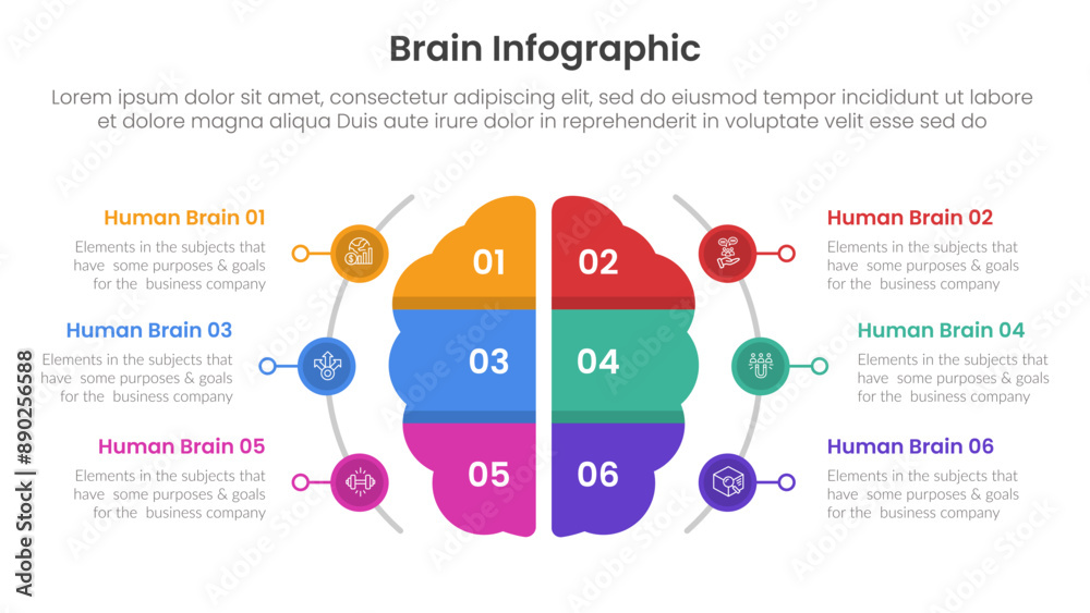 human brain infographic template banner with brain view from top and ...