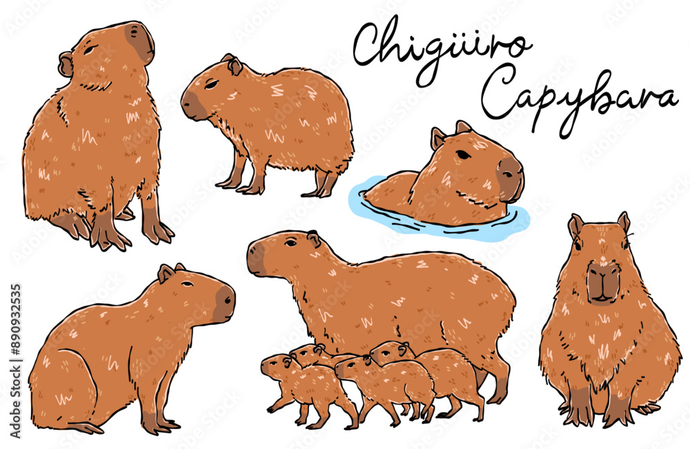 conjunto de ilustraciones de capibara o chigüire, arte lineal estilo ...
