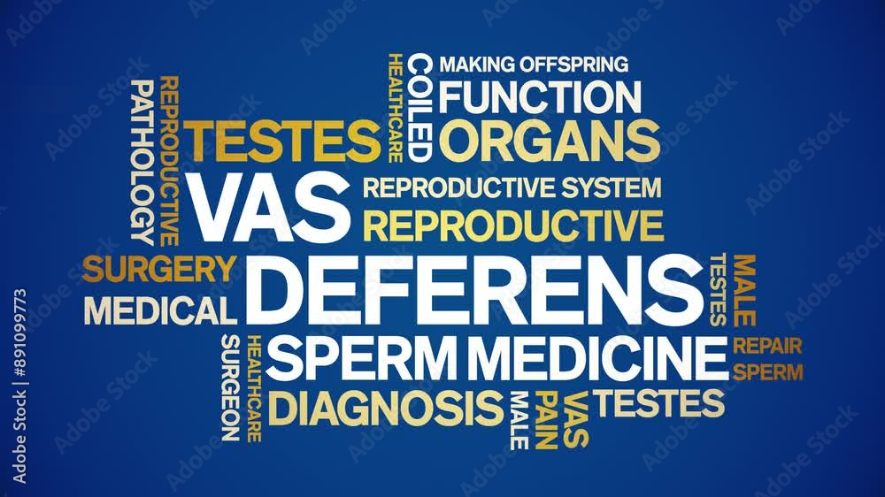 Vas Deferens animated word cloud;text design animation tag kinetic ...