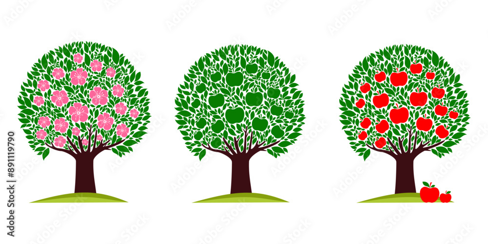 Apple tree life stage set with cultivation symbols. Tree growth cycle ...