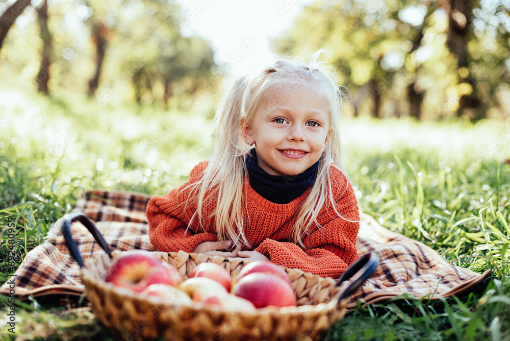 Child picking apples on farm in autumn. Little girl playing in tree ...