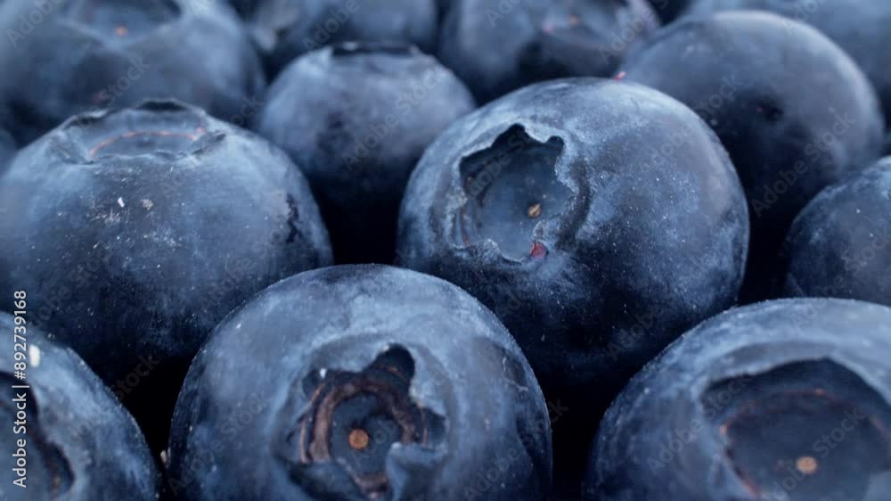 Ripe blue berries. Camera slowly moves across surface of fruit ...