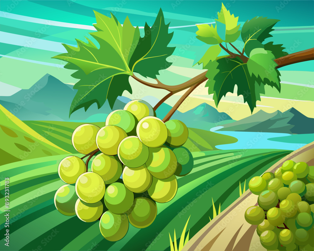 illustration Vector of green grapes on a branch with leaves, green farm ...
