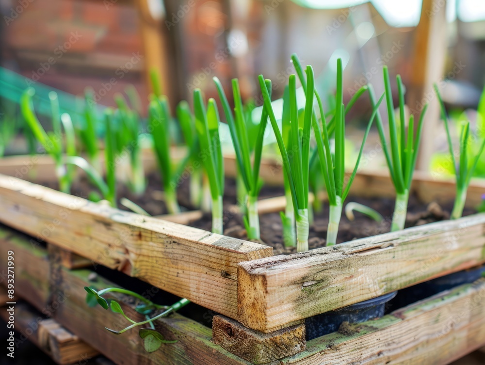 Green Living: How to Build a DIY Wooden Pallet Raised Garden Bed for ...