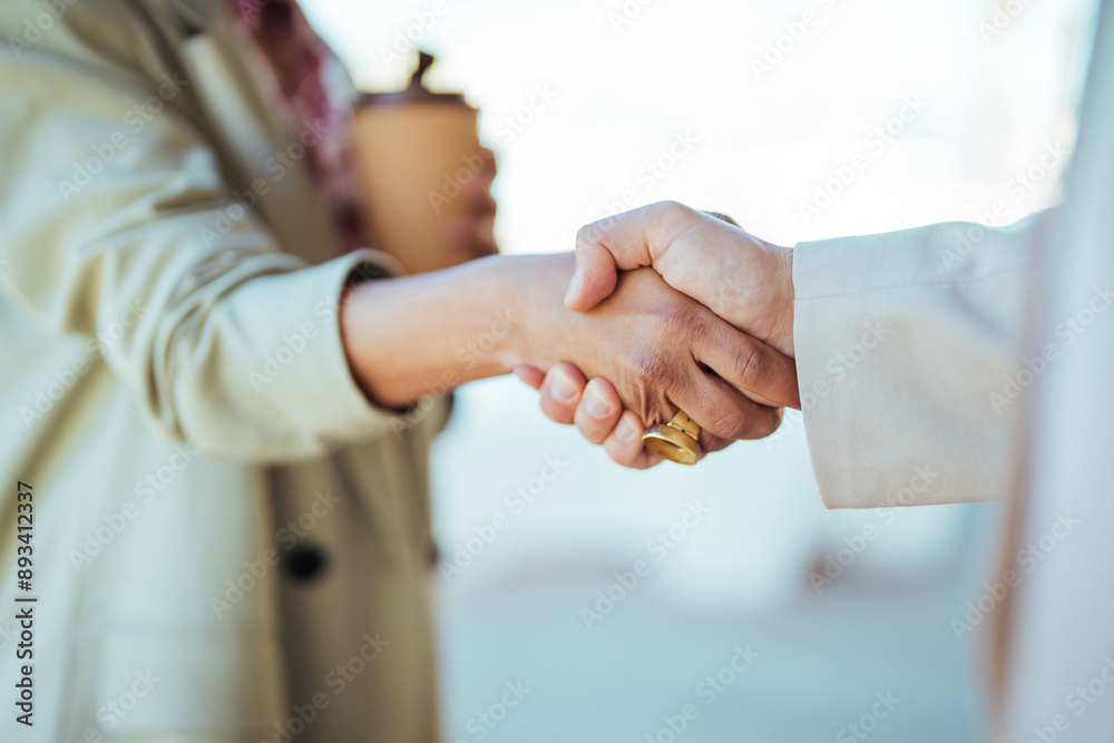 Caucasian Businessman Engages in Handshake with Hispanic Businesswoman ...
