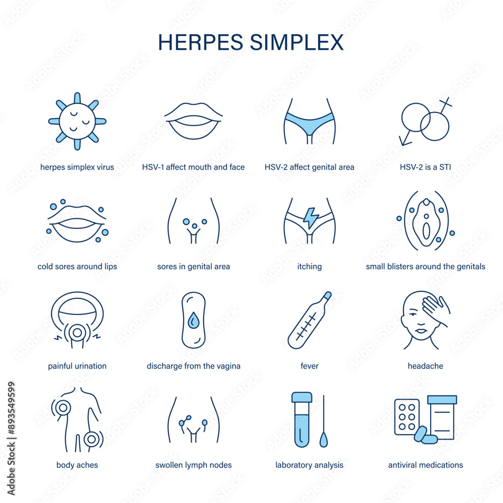 Herpes Simplex symptoms, diagnostic and treatment vector icons. Medical ...