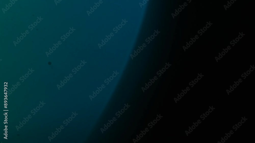 Light Leaks slow transition effect overlay footage, background 4k ...