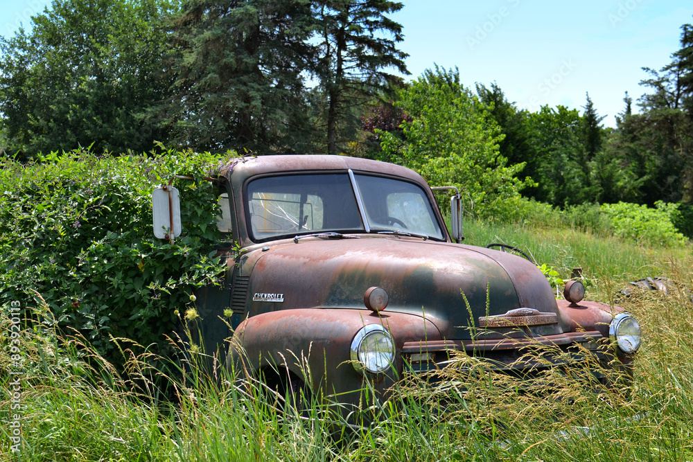 Vintage antique rusty Chevrolet Chevy pickup truck abandoned in field ...