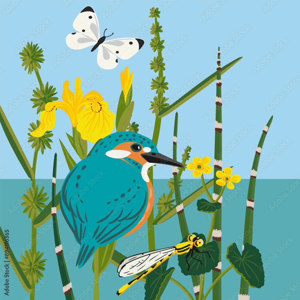 vector drawing king fisher, butterfly and bur-reed, wild water bird and ...