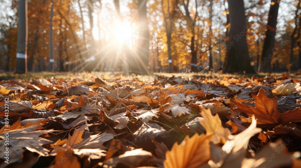 The autumnal equinox, occurring around September 22nd or 23rd in the ...