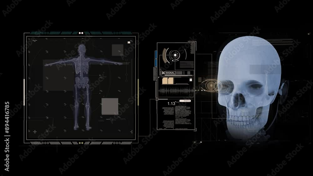 A close-up x-ray scan of a human skull, revealing detailed bone ...