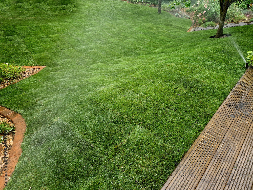 watering lawn automatic irrigation with pull-out sprinklers fresh green ...