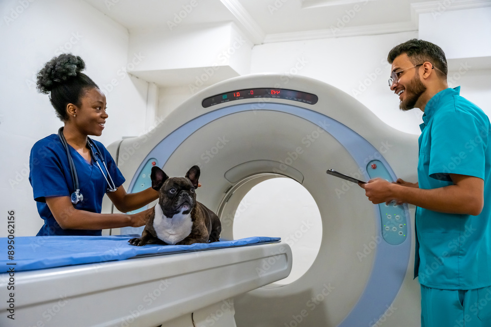 Doctor preparing a dog for having a medical procedure on MRI Stock ...