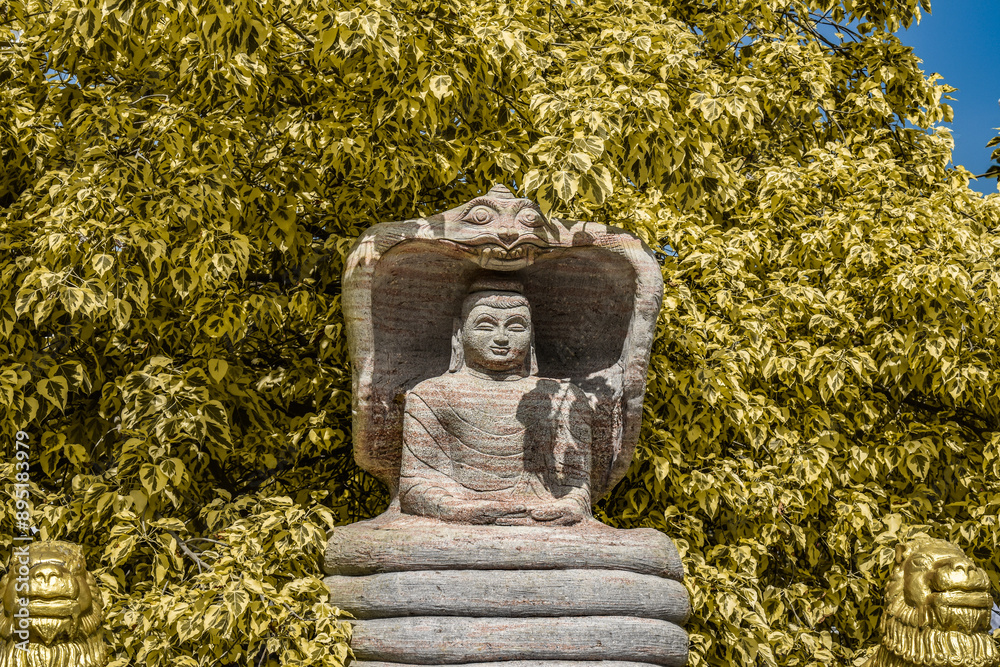 White Bodhi Tree with Statue of Lord Buddha at Nagadeepa Purana Vihara ...