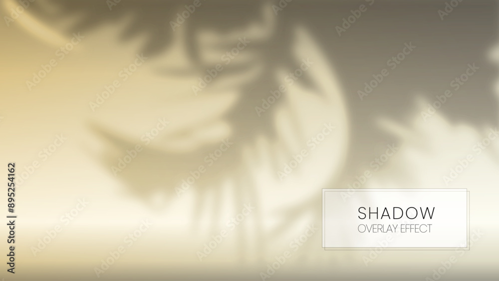 Vector of shadow tropical leaves and branches. Realistic soft light ...
