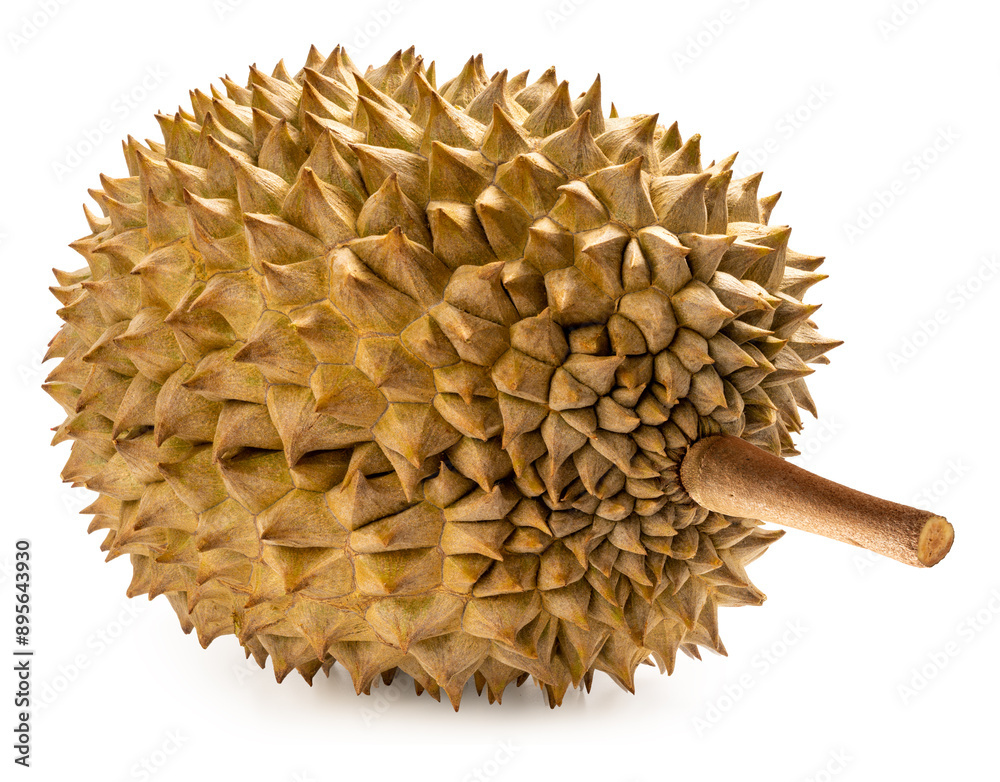 Chanee durian One of the types of Durian The King of Tropical Fruits ...