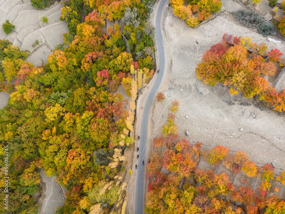Aerial view of vibrant autumn foliage and winding road in Machulo La ...
