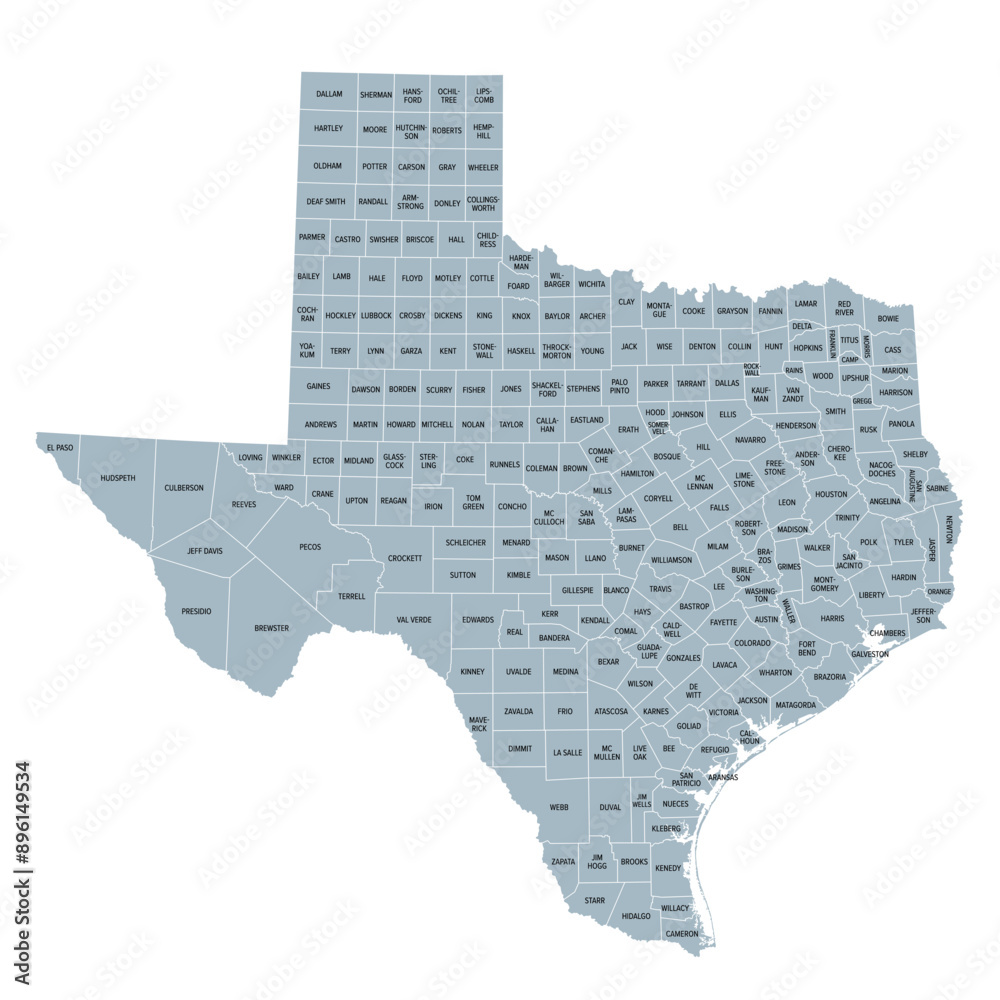 Texas counties, gray political map. State in the South Central region ...
