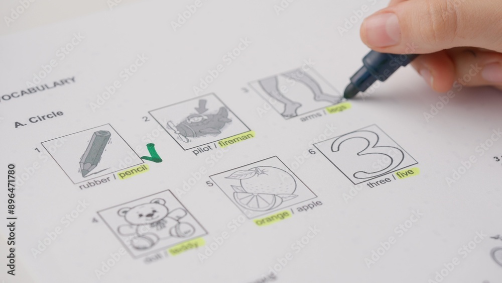 Professional school or college teacher grades a homework exam papers of ...