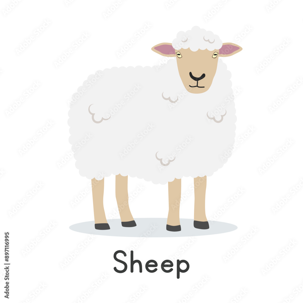 Sheep vector illustration. Cute sheep cartoon clipart, animal in flat ...