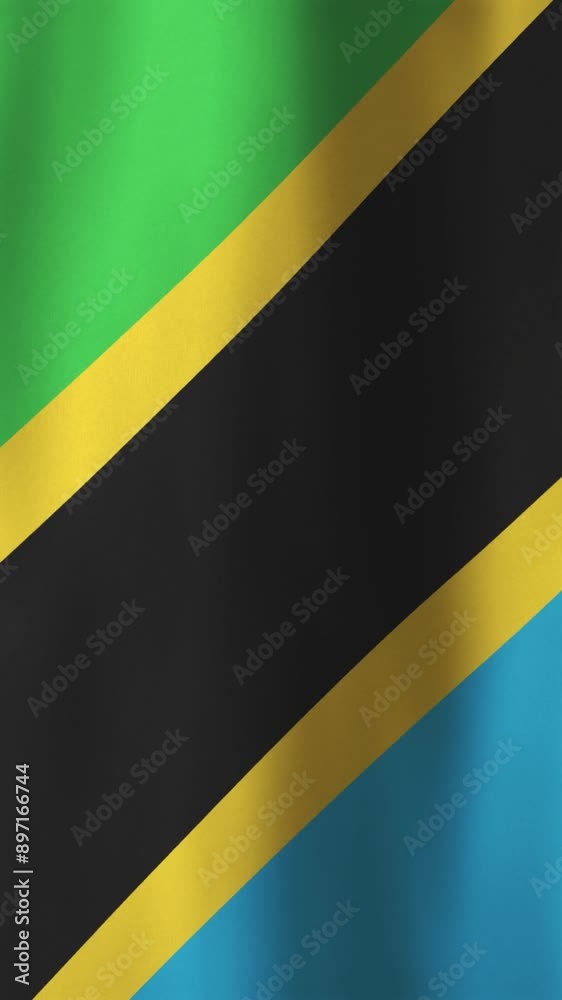 Waving Flag of Tanzania, Vertical Fill Video, HD Animated Background ...