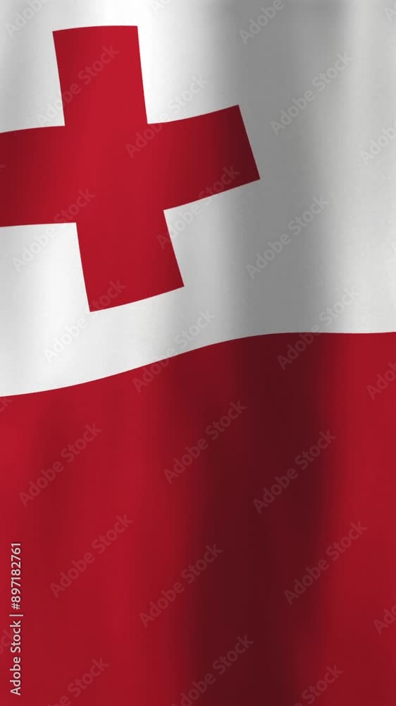 Waving Flag of Tonga, Vertical Fill Video, HD Animated Background ...
