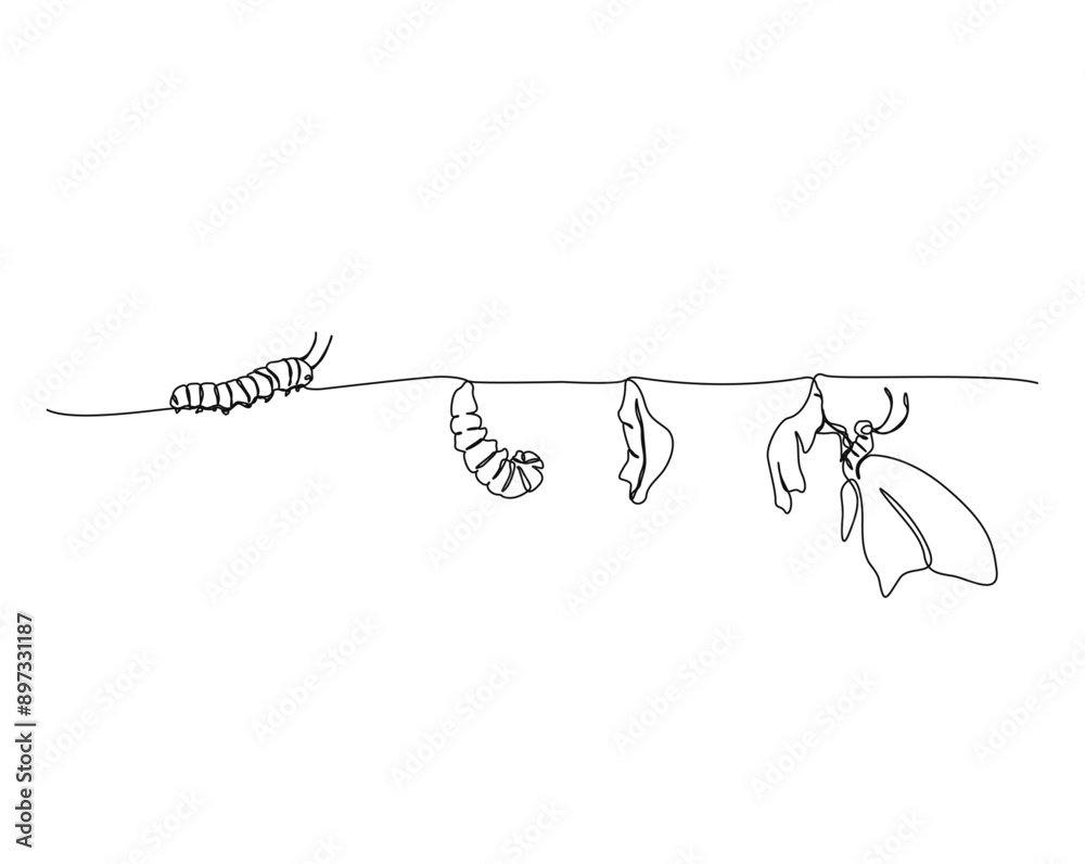 Photo & Art Print One continuous line drawing butterfly life cycle ...
