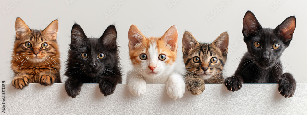 A row of dog and cat heads, with their paws raised, hang over a blank ...