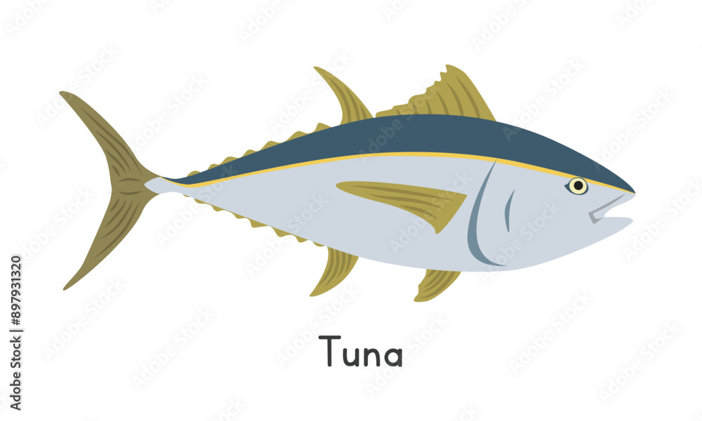 Tuna vector illustration. Tuna fish cartoon clipart, animal in flat ...
